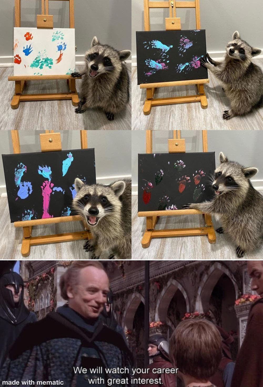 The 25+ Funniest Raccoon Memes, Ranked