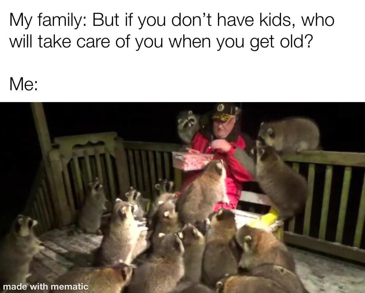 The 25+ Funniest Raccoon Memes, Ranked