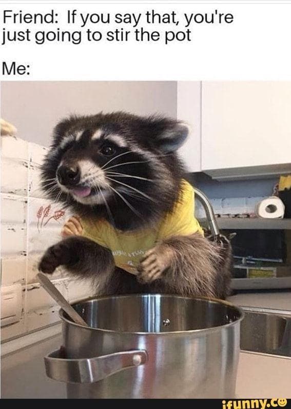 The 25+ Funniest Raccoon Memes, Ranked