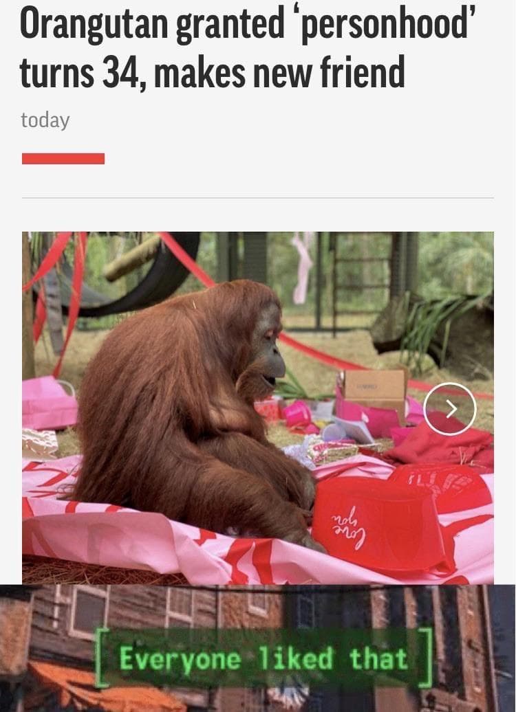The 18 Funniest Orangutan Memes That Deserve An Ape-Plus