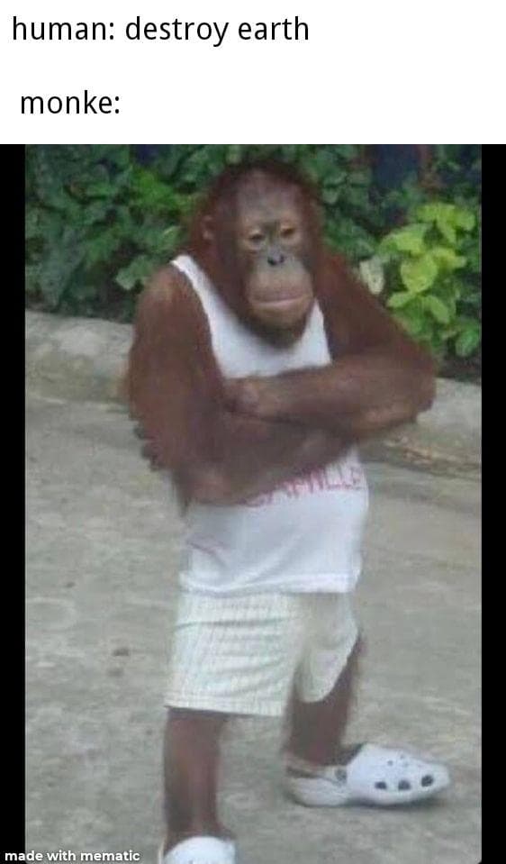 The 18 Funniest Orangutan Memes That Deserve An Ape-Plus