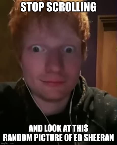 The 24 Funniest Ed Sheeran Memes, Ranked