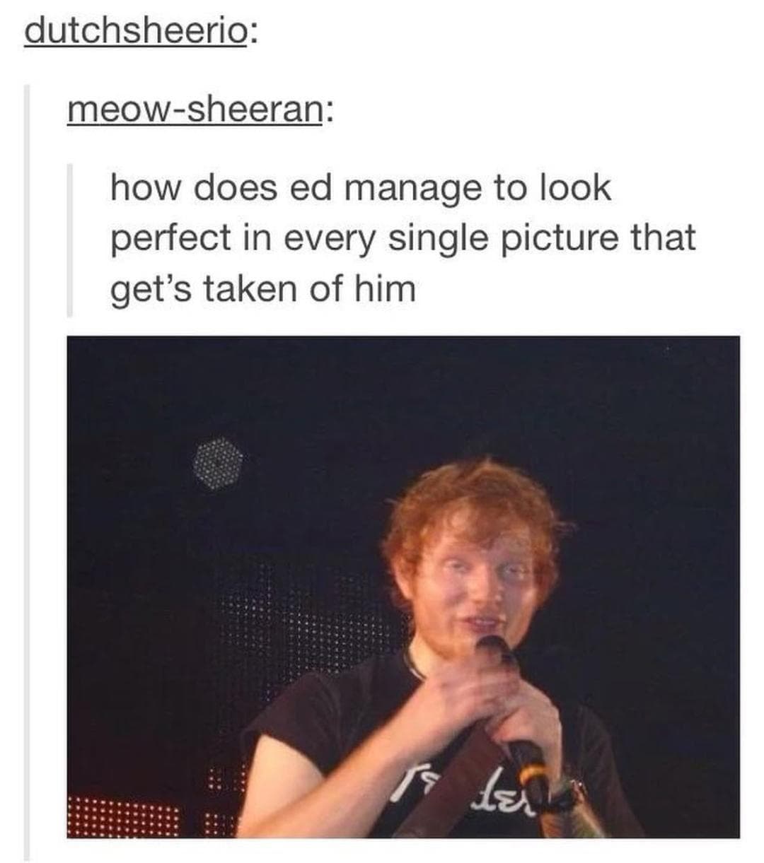 The 24 Funniest Ed Sheeran Memes, Ranked