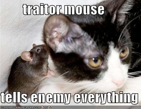 The 25 Funniest Mouse Memes, Ranked