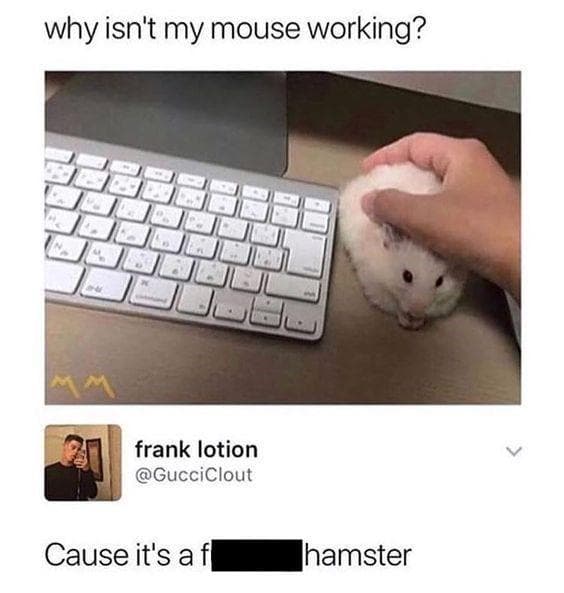 The 25 Funniest Mouse Memes, Ranked