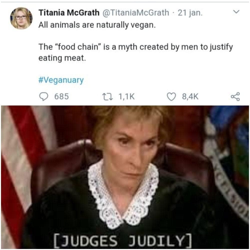 The 20 Funniest 'Judge Judy' Memes, Ranked