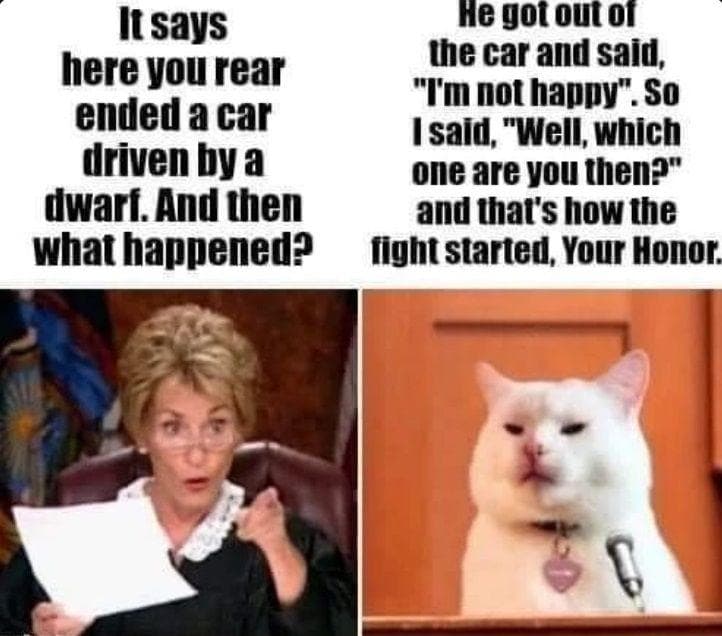 The 20 Funniest 'Judge Judy' Memes, Ranked