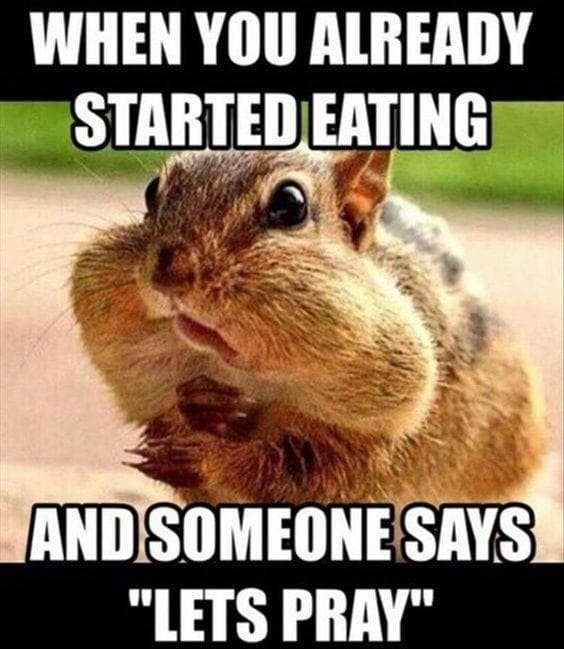 The 25 Funniest Squirrel Memes, Ranked