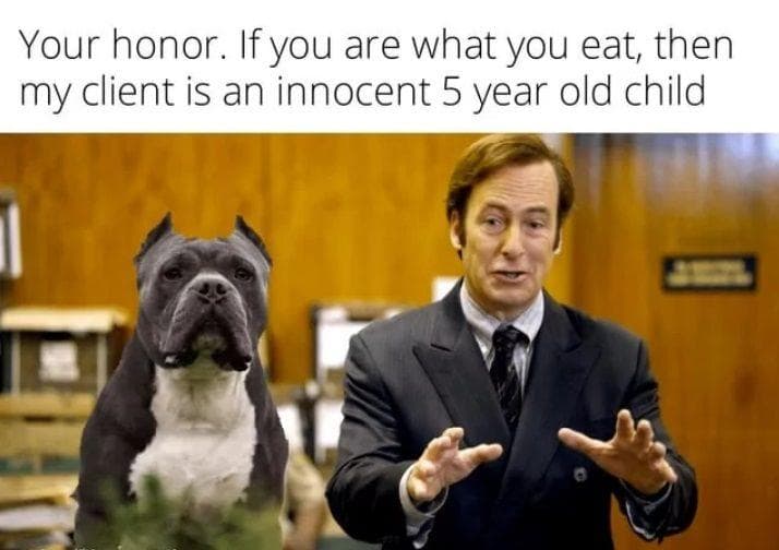 The 17 Funniest 'Better Call Saul' Memes, Ranked