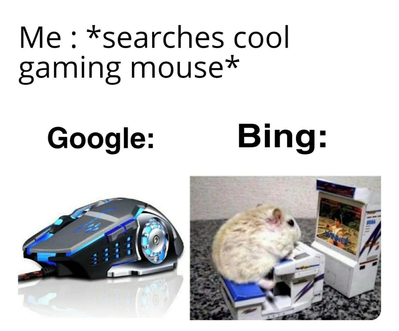 The 25 Funniest Mouse Memes, Ranked
