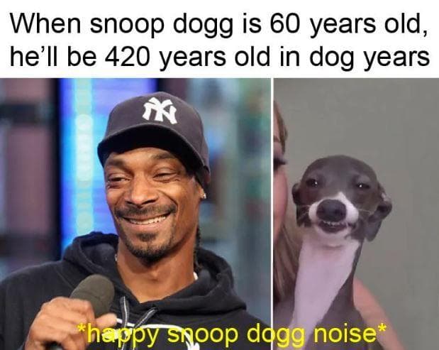 The 25 Funniest Snoop Dogg Memes, Ranked