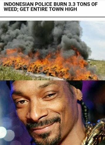 The 25 Funniest Snoop Dogg Memes, Ranked