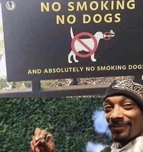 The 25 Funniest Snoop Dogg Memes, Ranked