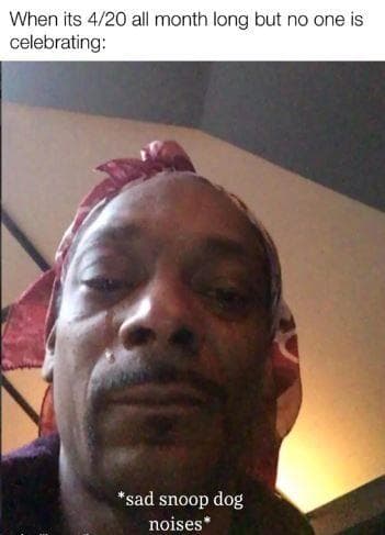 The 25 Funniest Snoop Dogg Memes, Ranked