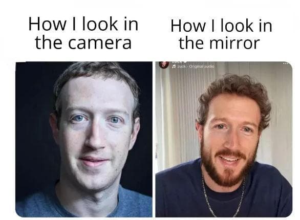 The 25 Funniest Mark Zuckerberg Memes, Ranked