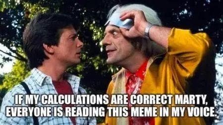 The 25 Funniest 'Back to the Future' Memes