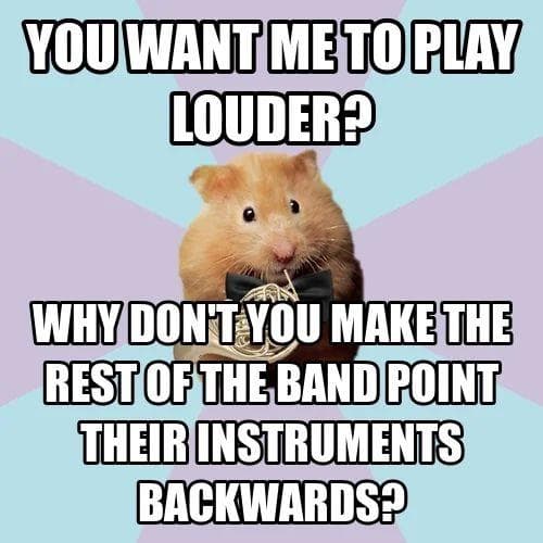 The 25 Funniest Hamster Memes, Ranked