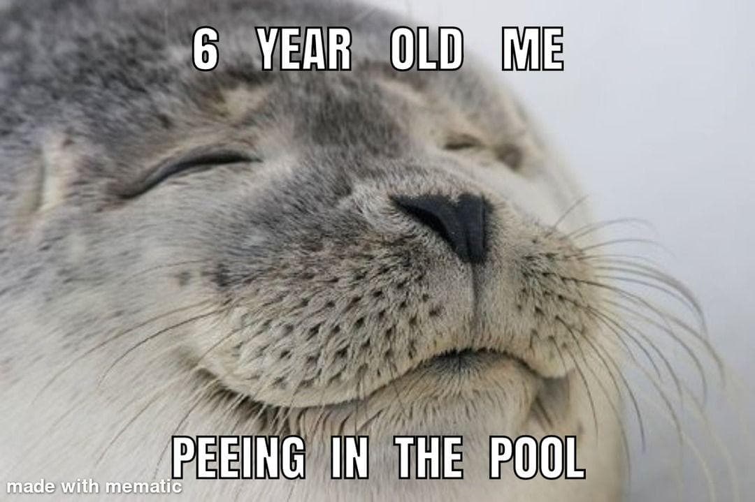 The 24 Funniest Seal Memes About Our Favorite Aquatic Mammals