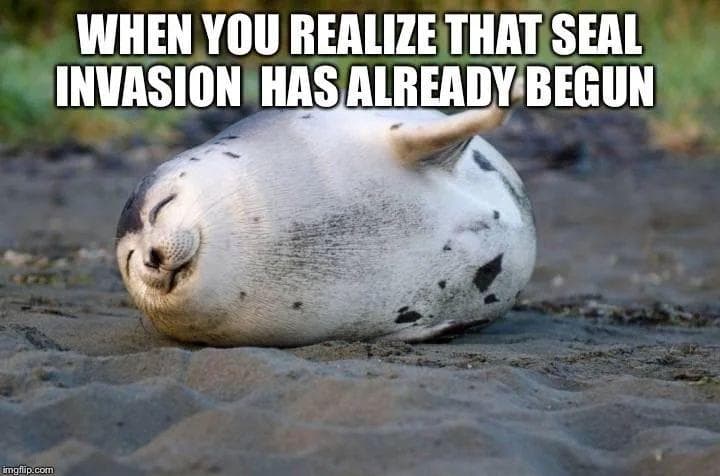 The 24 Funniest Seal Memes About Our Favorite Aquatic Mammals