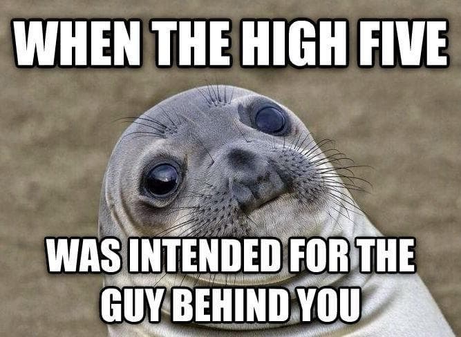 The 24 Funniest Seal Memes About Our Favorite Aquatic Mammals