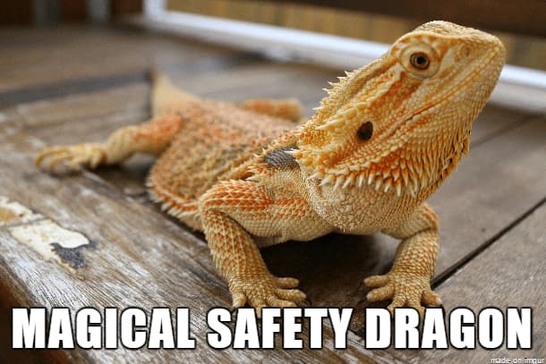 The 24 Funniest Lizard Memes All Reptile Lovers Will Appreciate