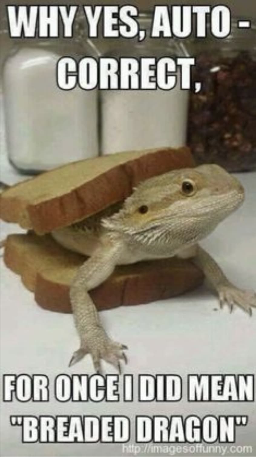 The 24 Funniest Lizard Memes All Reptile Lovers Will Appreciate