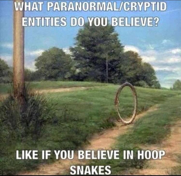 The 24 Funniest Cryptid Memes That Are Mysteriously Amusing