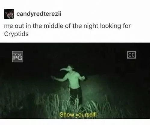 The 24 Funniest Cryptid Memes That Are Mysteriously Amusing
