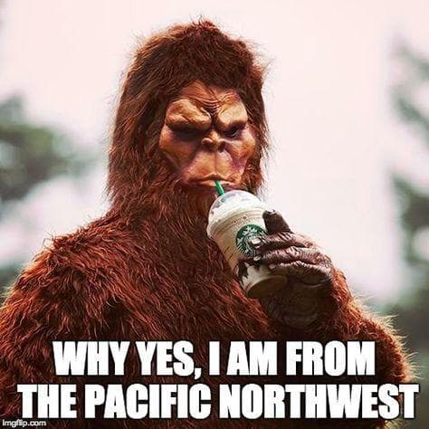 The 24 Funniest Cryptid Memes That Are Mysteriously Amusing