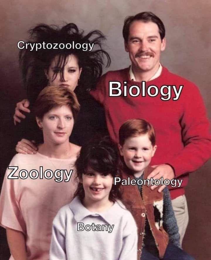 The 24 Funniest Cryptid Memes That Are Mysteriously Amusing