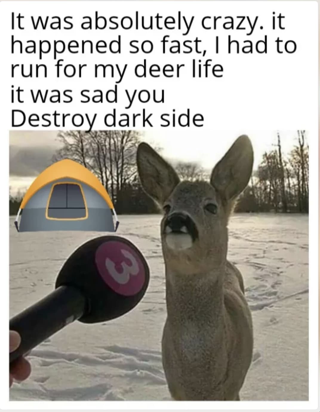 The 28 Funniest Deer Memes, Ranked