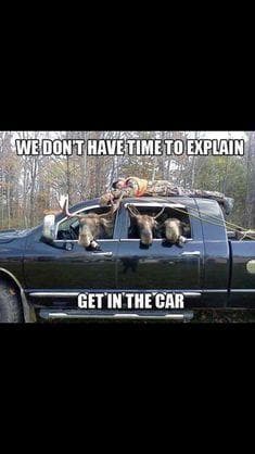 The 28 Funniest Deer Memes, Ranked
