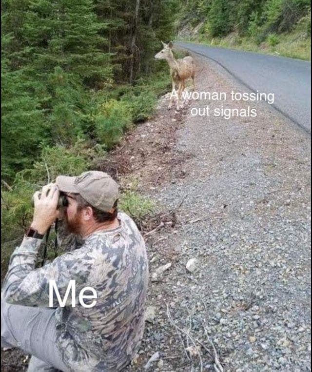 The 28 Funniest Deer Memes, Ranked