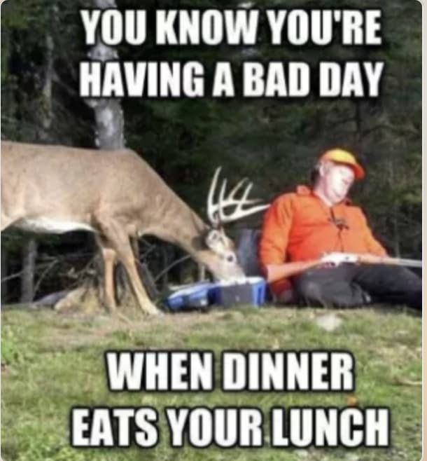 The 28 Funniest Deer Memes, Ranked