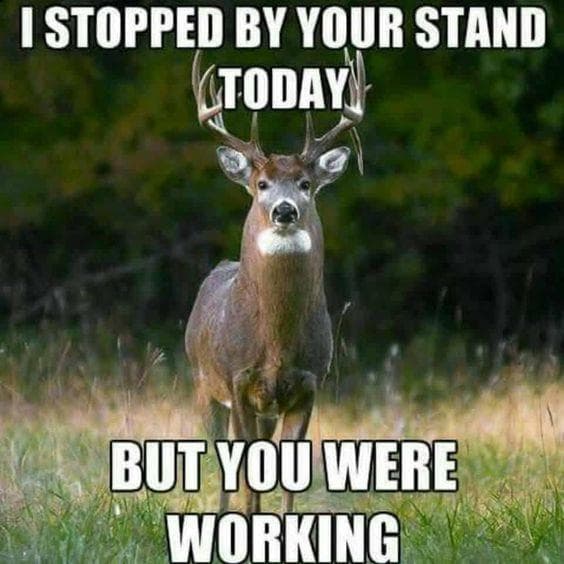 The 28 Funniest Deer Memes, Ranked