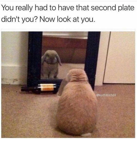 The 29 Funniest Rabbit Memes, Ranked
