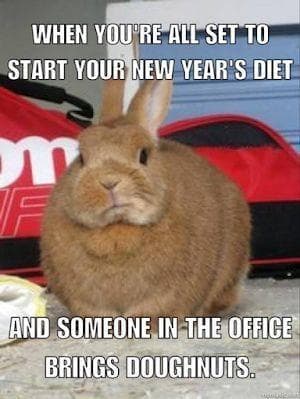 The 29 Funniest Rabbit Memes, Ranked