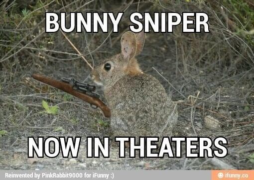 The 29 Funniest Rabbit Memes, Ranked