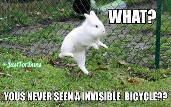 The 29 Funniest Rabbit Memes, Ranked