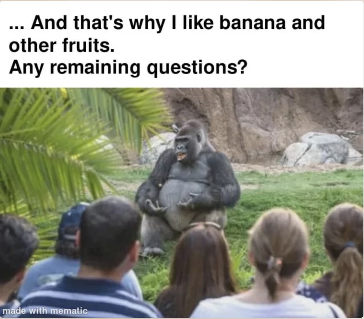 The 22 Funniest Gorilla Memes, Ranked