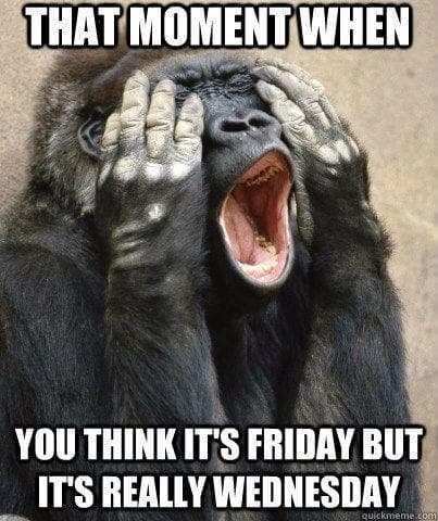 The 22 Funniest Gorilla Memes, Ranked