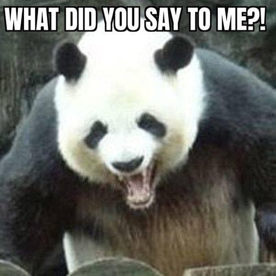 The 29 Funniest Panda Memes About Nature's Clumsiest Animal