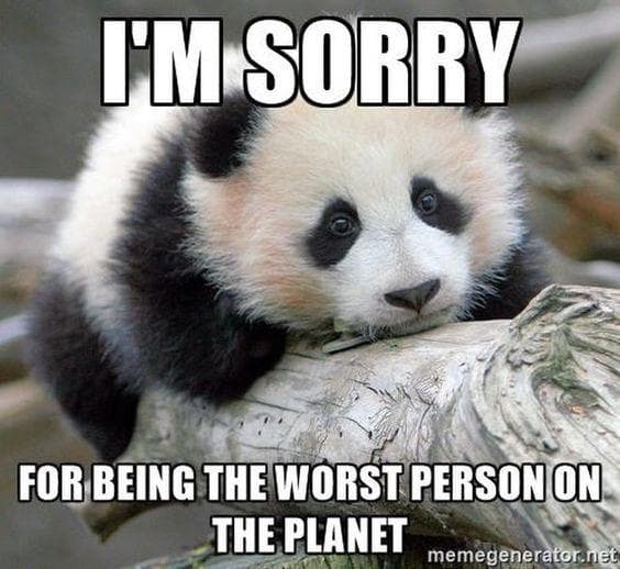 The 29 Funniest Panda Memes About Nature's Clumsiest Animal