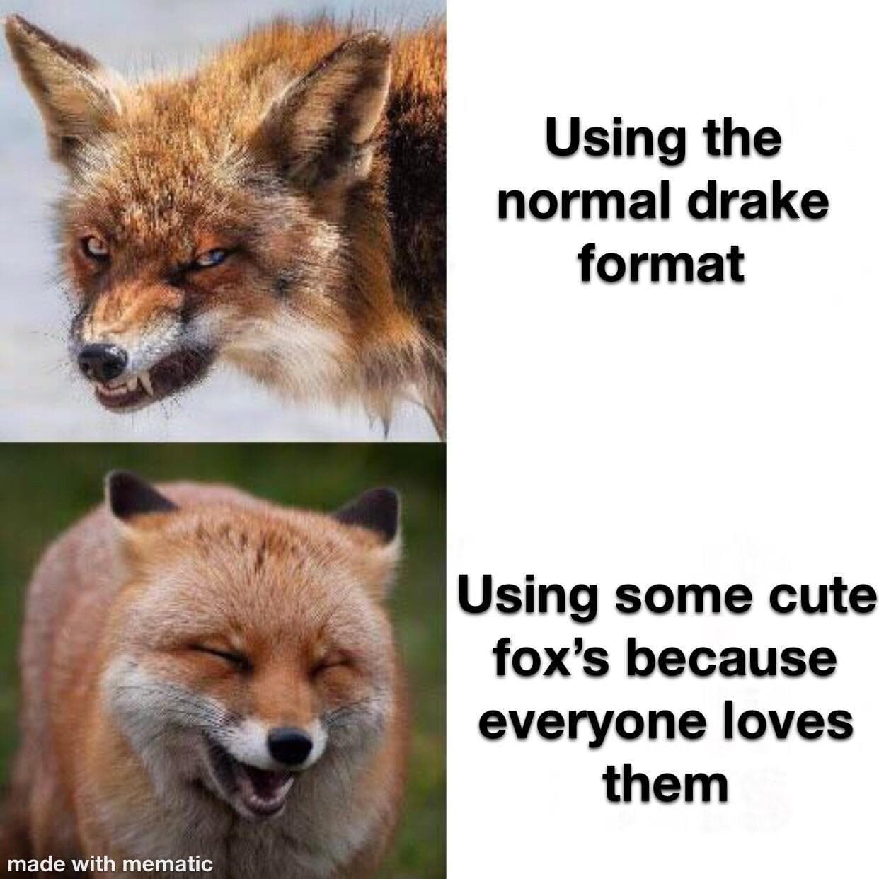 The 26 Funniest Fox Memes, Ranked