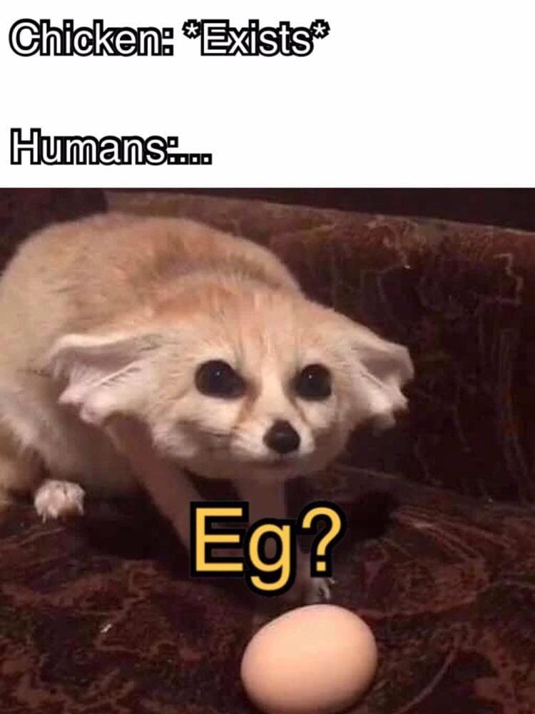 The 26 Funniest Fox Memes, Ranked