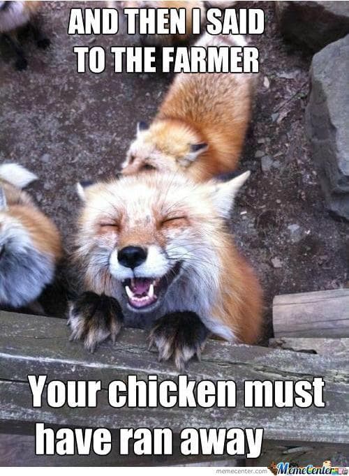 The 26 Funniest Fox Memes, Ranked