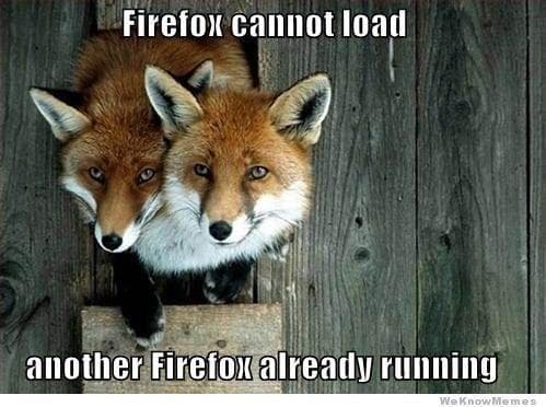 The 26 Funniest Fox Memes, Ranked