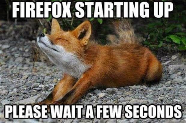 The 26 Funniest Fox Memes, Ranked