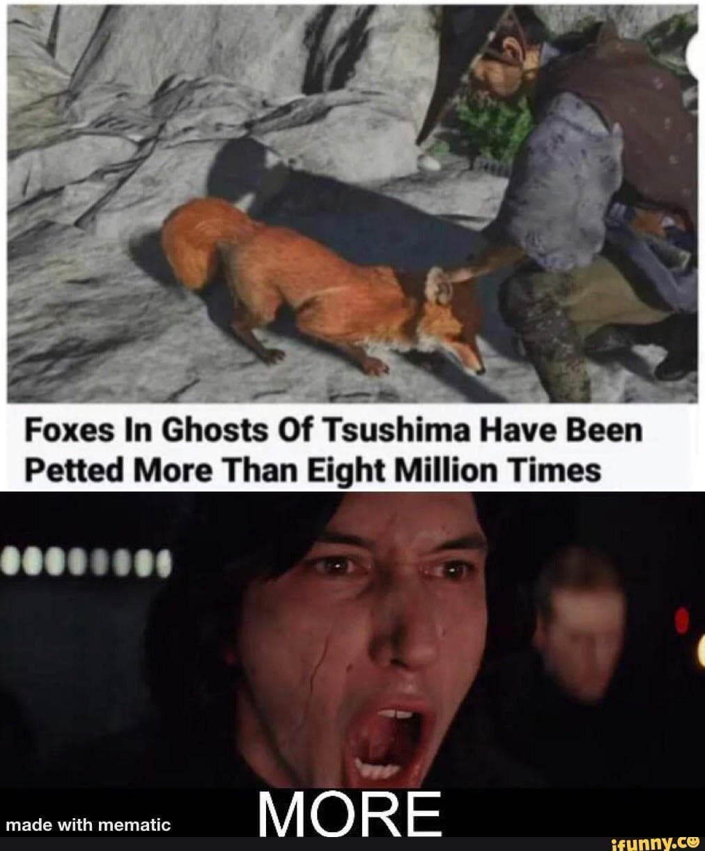 The 26 Funniest Fox Memes, Ranked