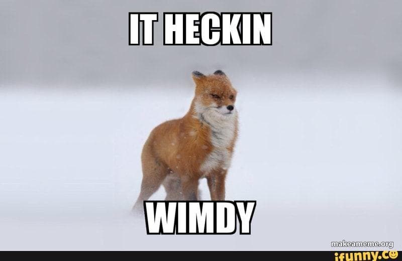 The 26 Funniest Fox Memes, Ranked